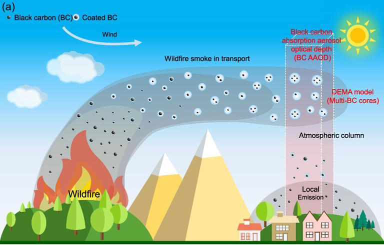 Multi-core black carbon particles found to boost light absorption in ...