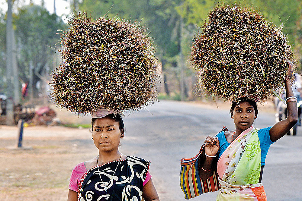Cabinet approval of PESA rules in Jharkhand: A political milestone ...