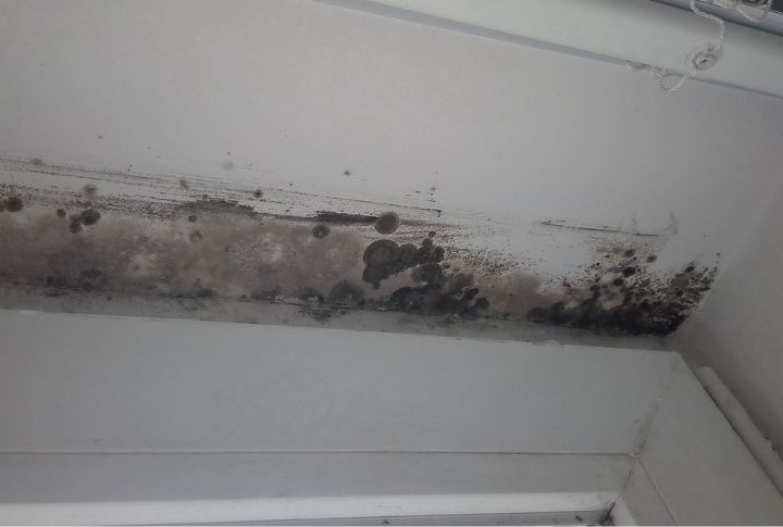 How to combat mold formation in your house