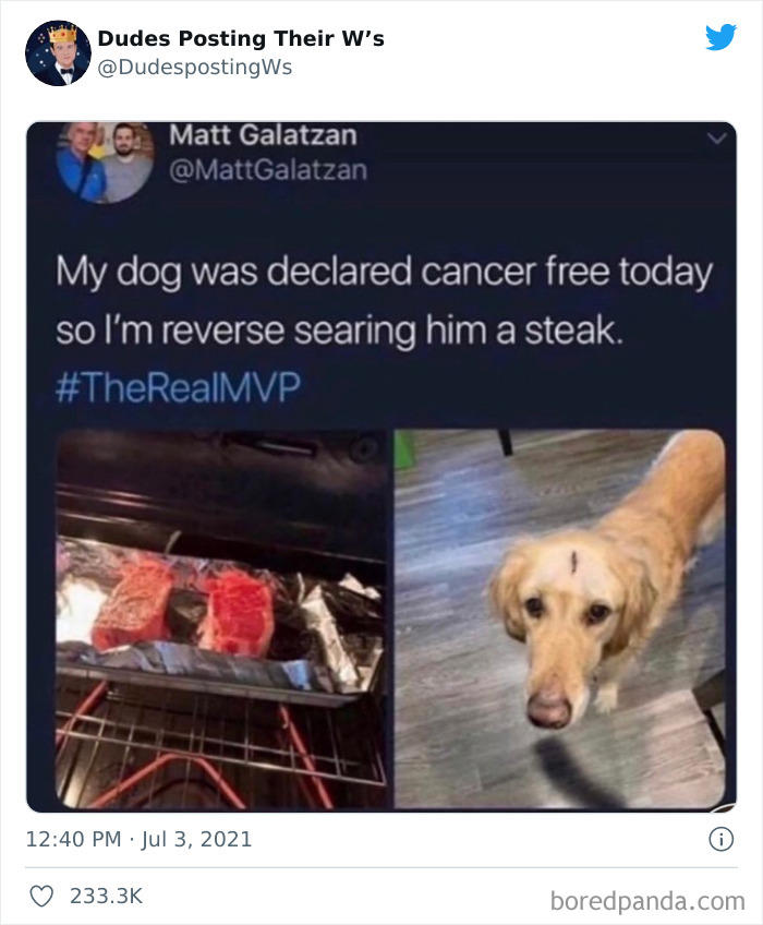 41 of the most wholesome, honest, and hilarious wins being celebrated ...