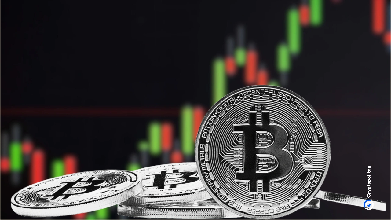 Large Bitcoin holders buy the dip while smaller investors exit
