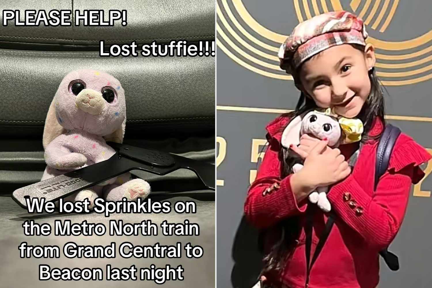 7-year-old devastated after stuffed bunny goes missing. Now mom says ...