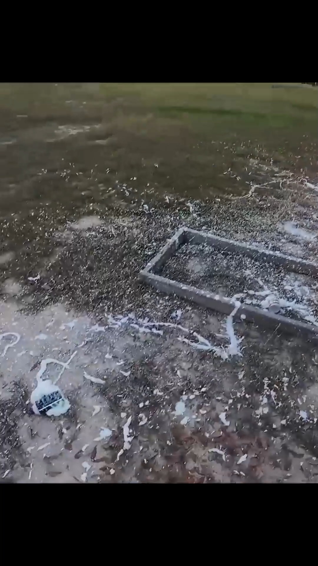 Budget .22LR ammo put to the test