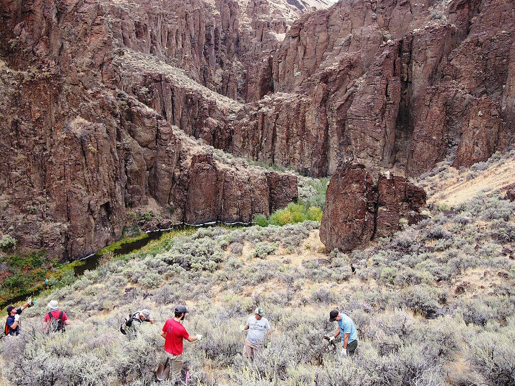 10 best camping areas in Idaho for solitude seekers