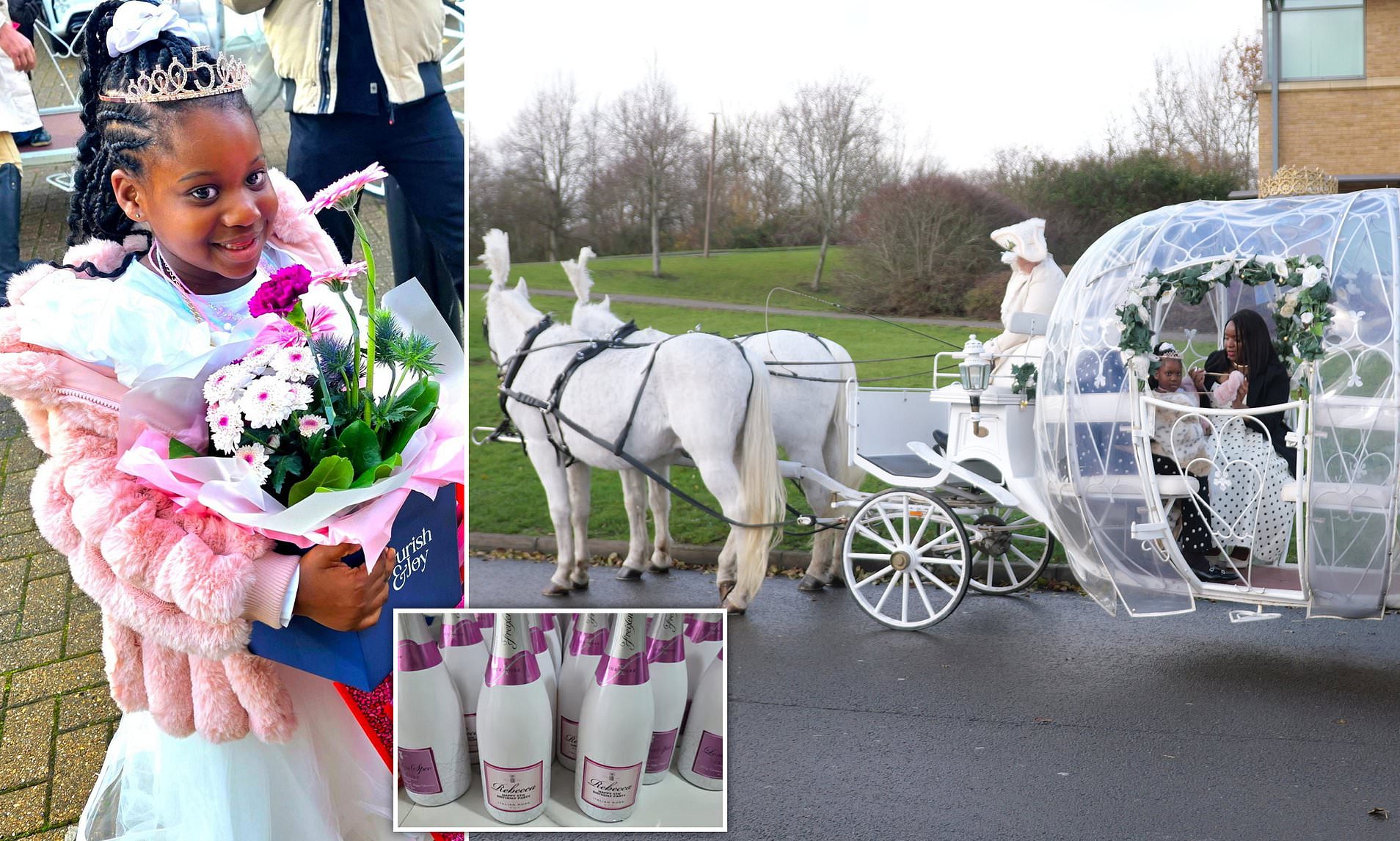 Pampered five-year-old gets a £19k birthday bash including an £870 ...