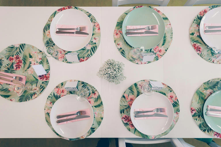 I let guests use paper plates and nobody has ever complained