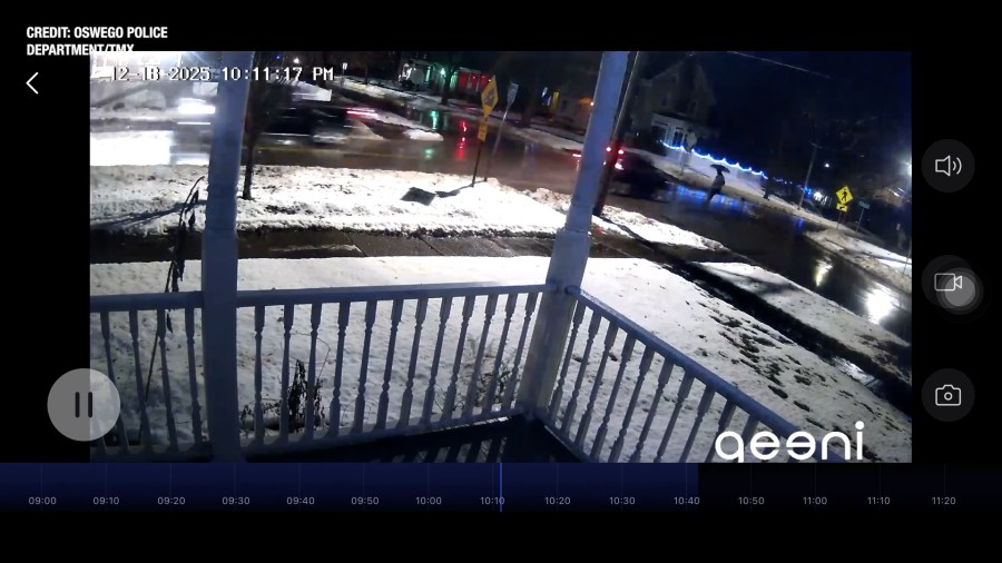 Video: Man, dog struck by car in hit-and-run, police say