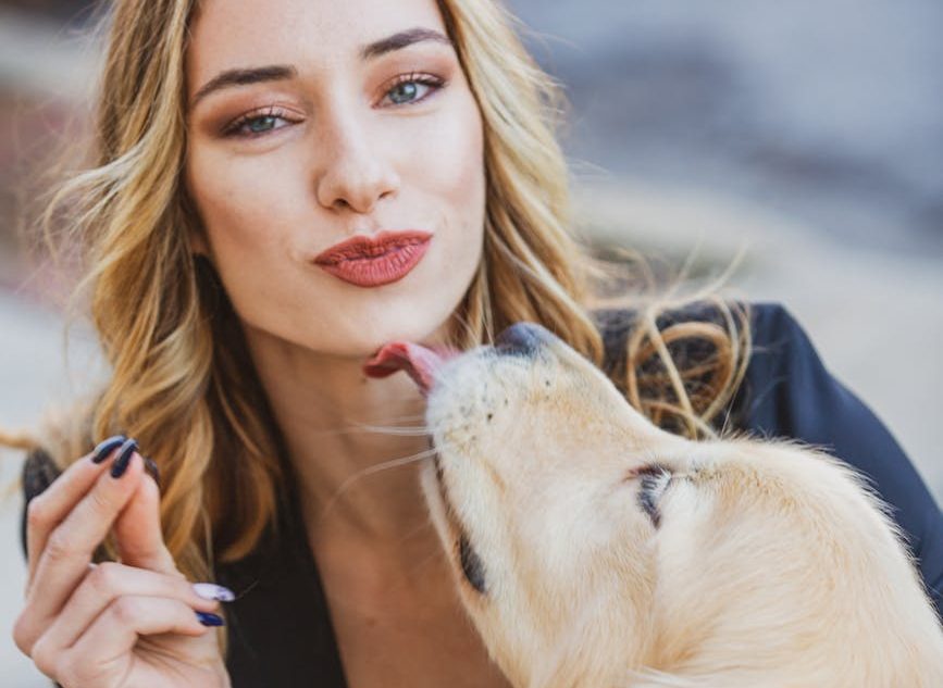 Your dog’s kiss isn’t harmless: The hidden health risks of letting dogs ...