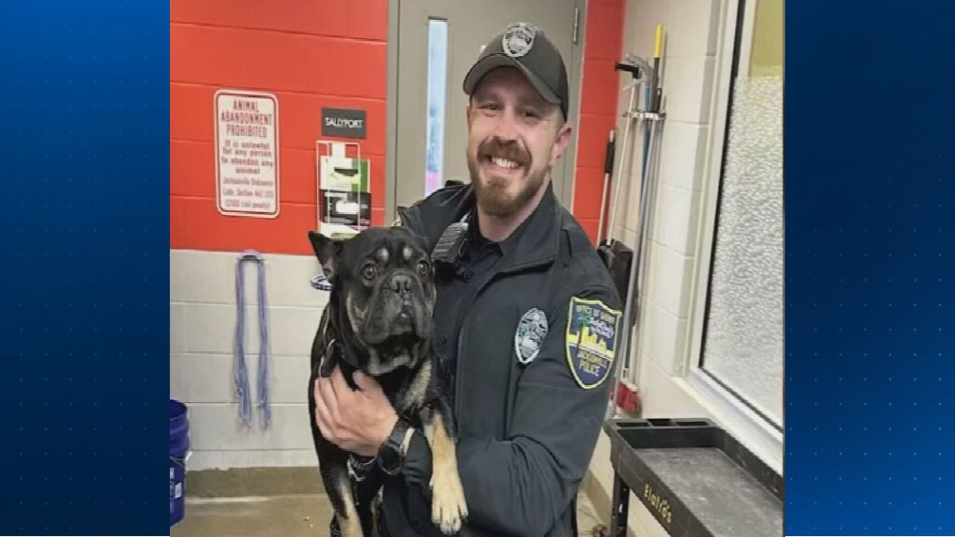 Police rescue French bulldog found stranded on Florida island