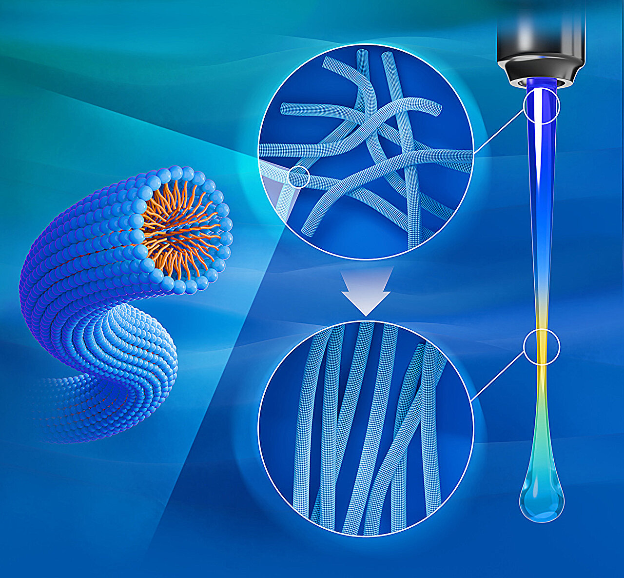 New optical method reveals micellar structure changes under extensional ...