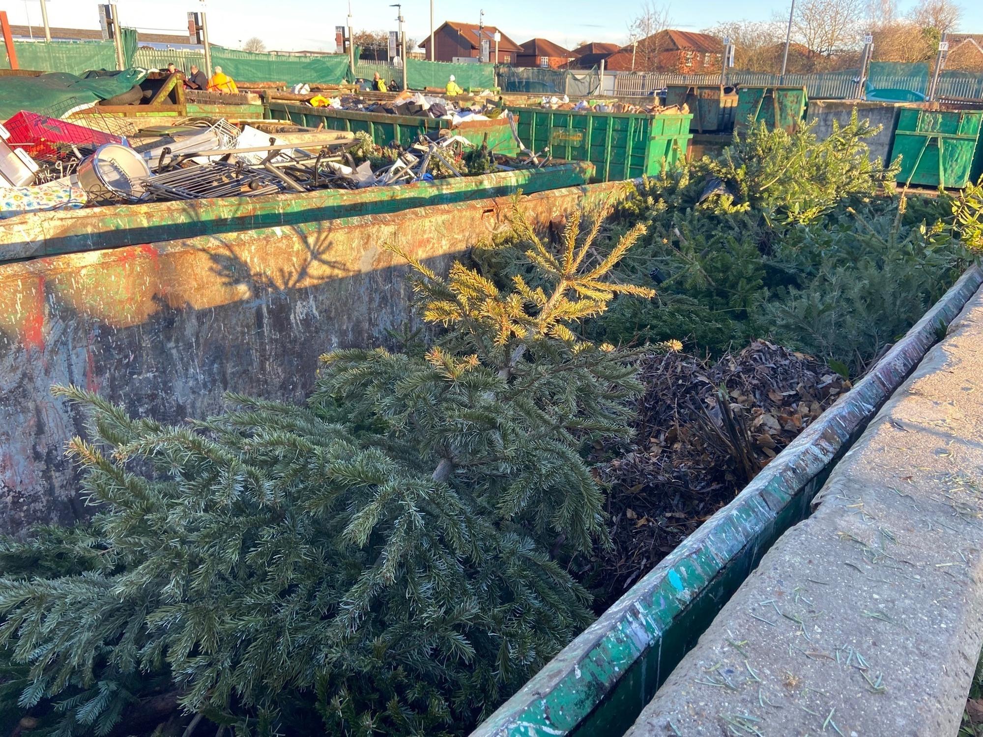 Here are Bedford's real Christmas tree recycling drop off points