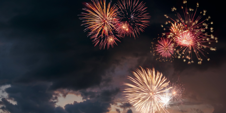 Birds panic and collide during fireworks displays