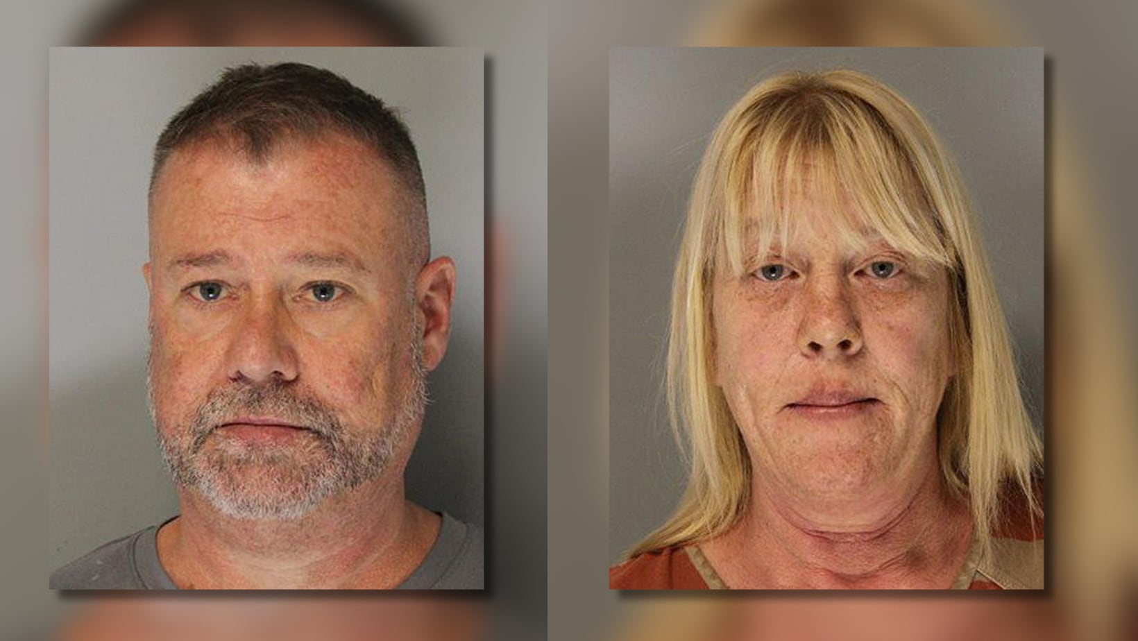 2 face dozens of charges after 100 animals, including horse, rescued ...