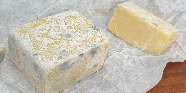 I Cook For A Living & This Is What To Do When There's Mold On Your Cheese