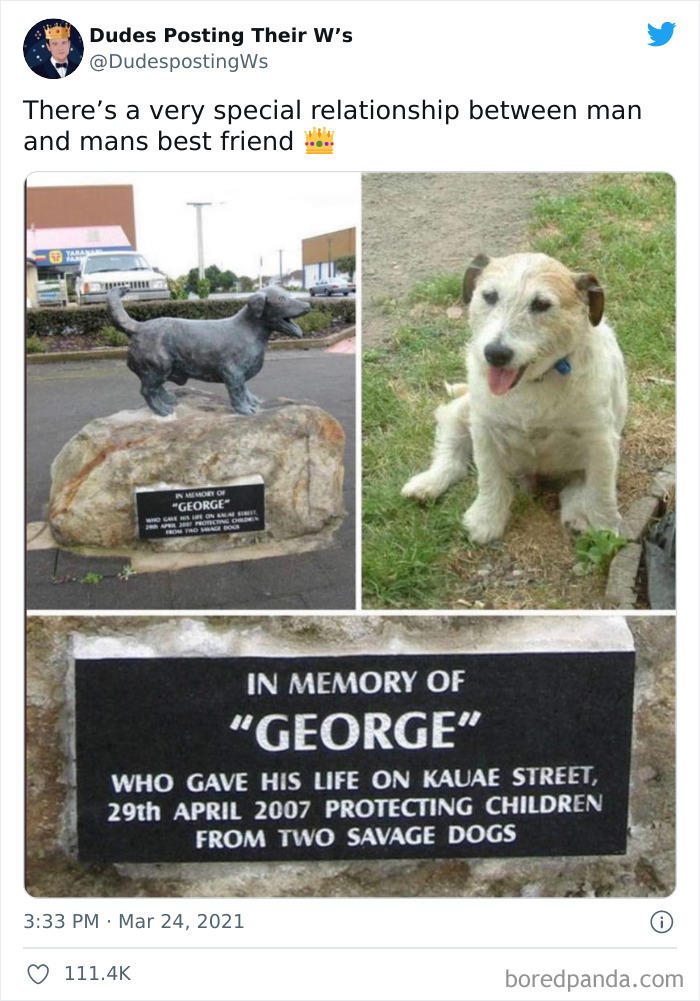 41 of the most wholesome, honest, and hilarious wins being celebrated ...