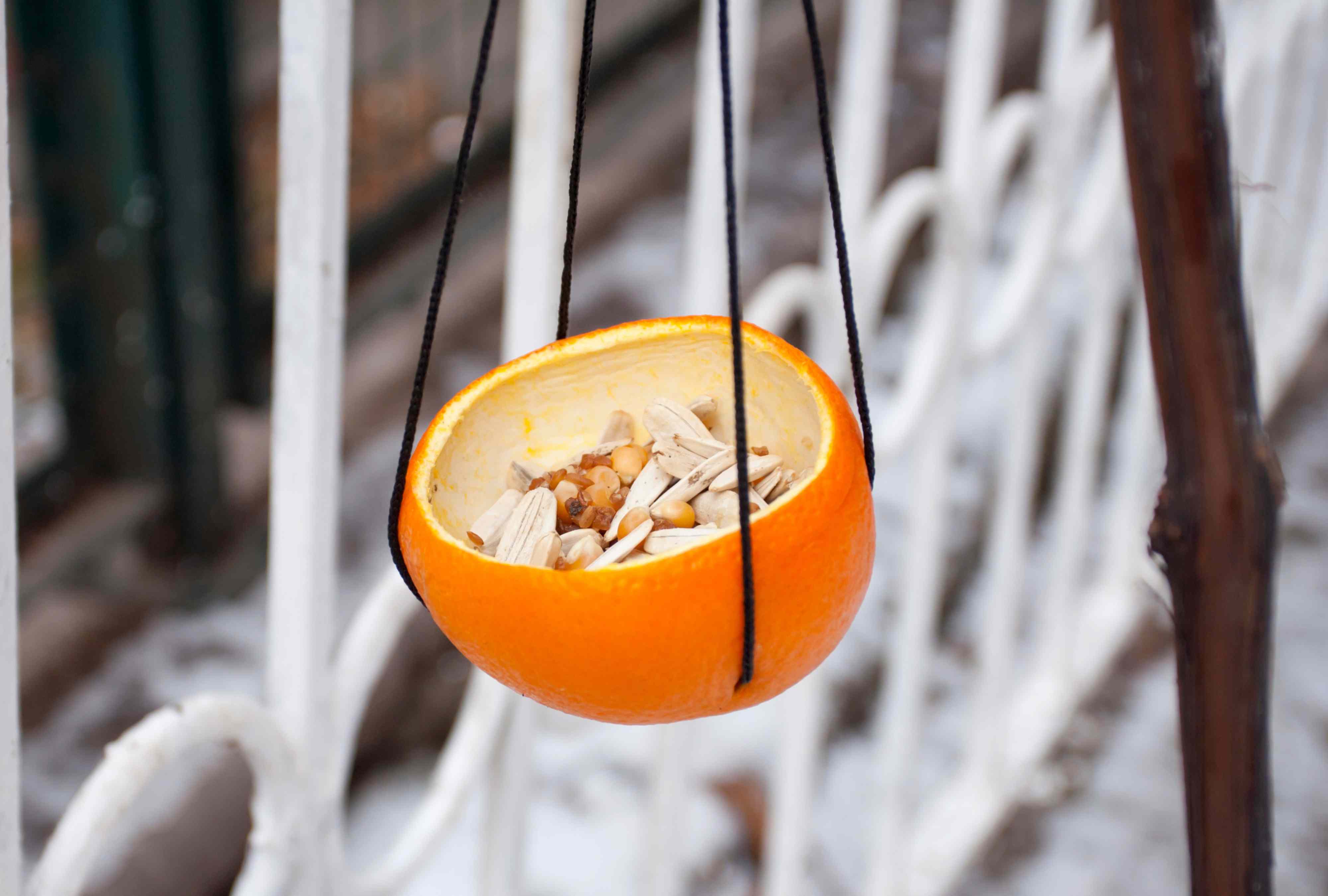 This compostable bird feeder is the perfect DIY winter craft