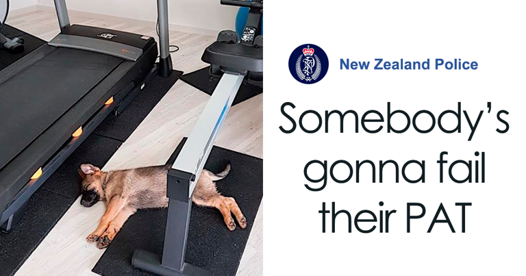 The New Zealand Police Is Winning Over The Internet With Their Adorable ...