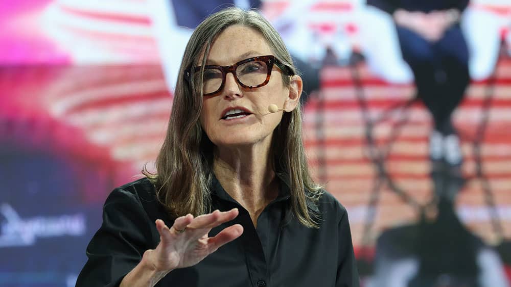 Cathie Wood's top two funds from 2025 hold this stock