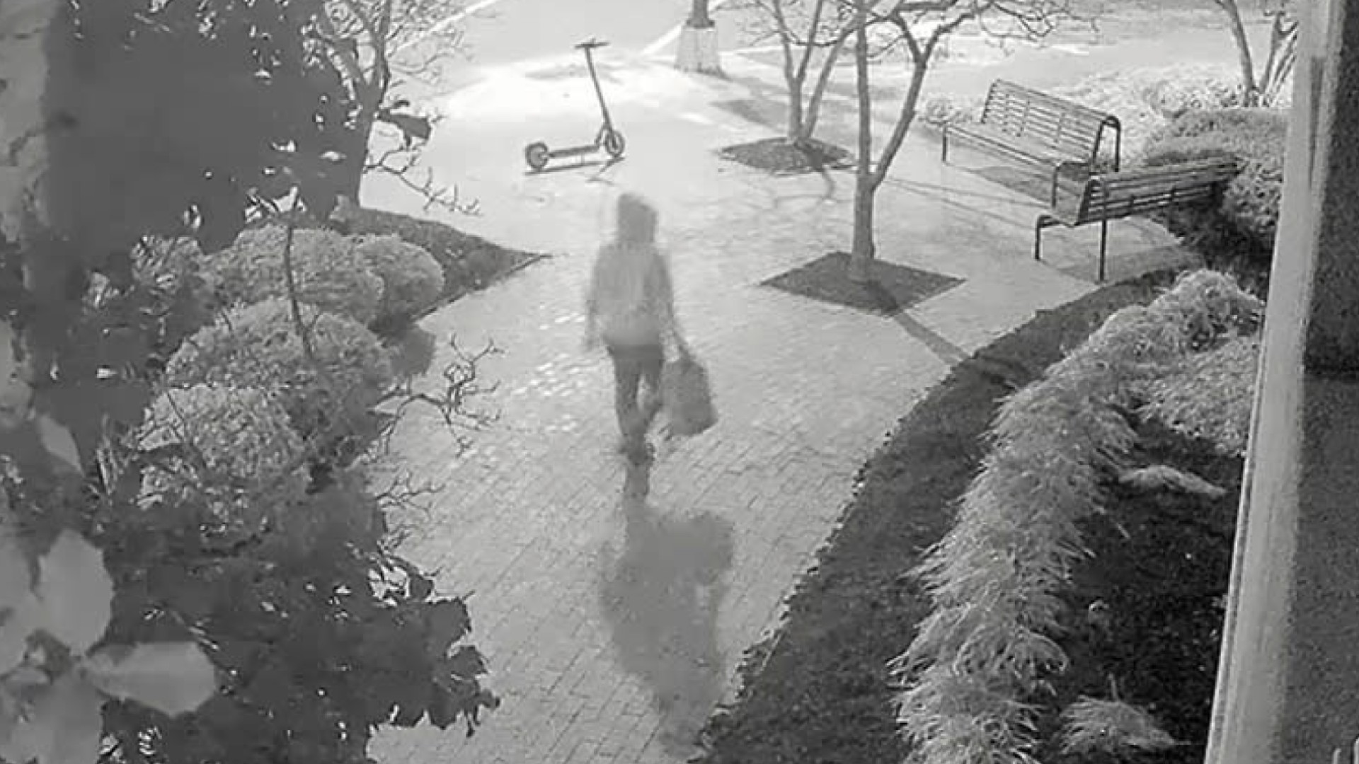 Jan. 6 pipe bomb suspect confesses in DOJ filing