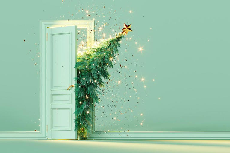 Für Immunsystem und Psyche: Warum wir den Tannenbaum nicht zu früh ...