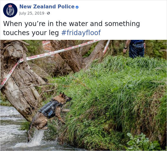 The New Zealand Police Is Winning Over The Internet With Their Adorable ...