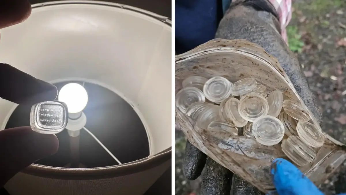 23 things people found that left the entire internet completely baffled