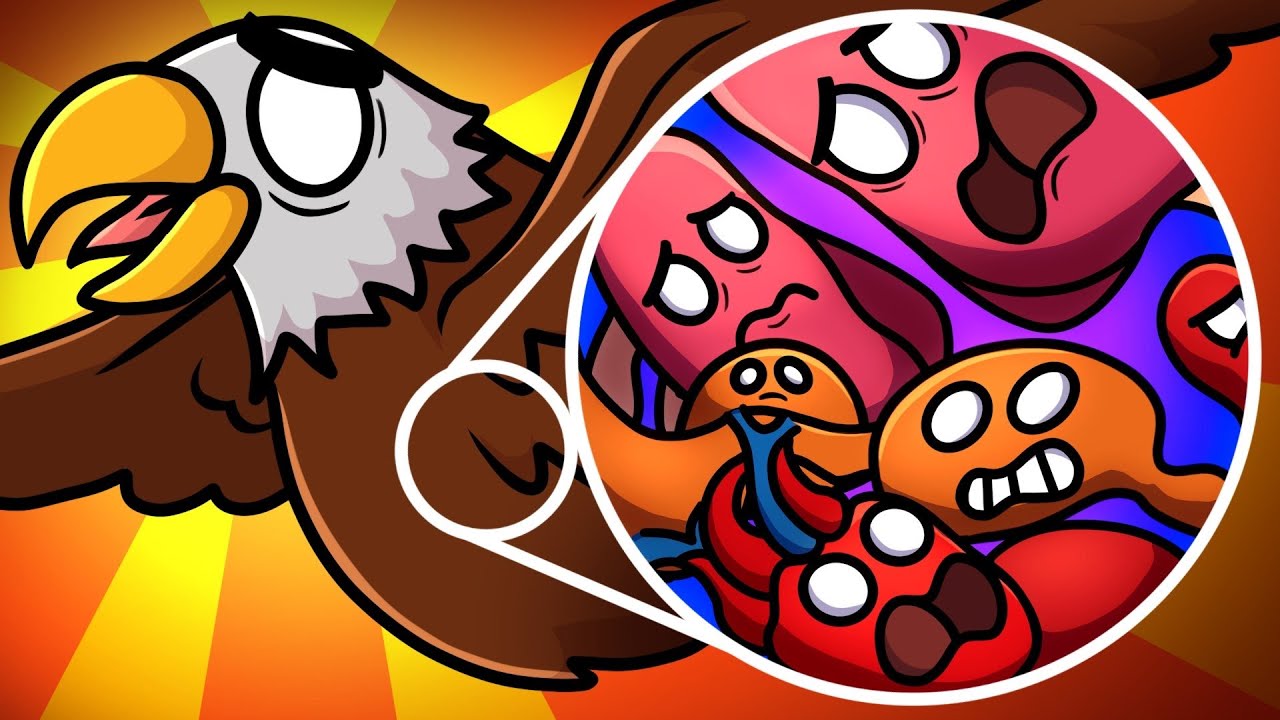 The surprising facts about human organs!