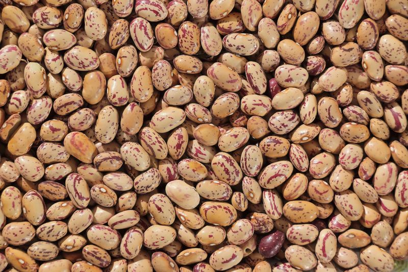 Trying to eat healthy on a budget? Don’t skip these 10 foods