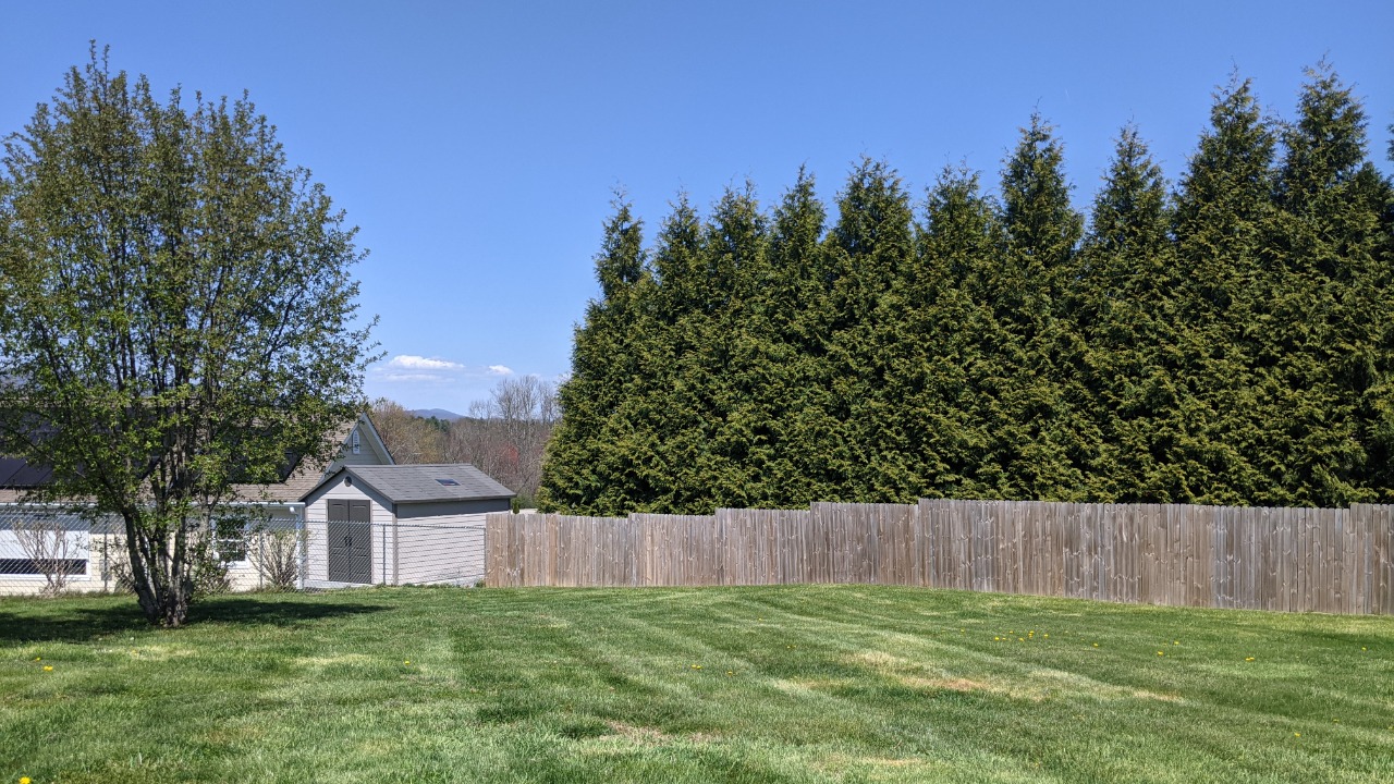 Retired science teacher spots alarming backyard change: "Never this bad"