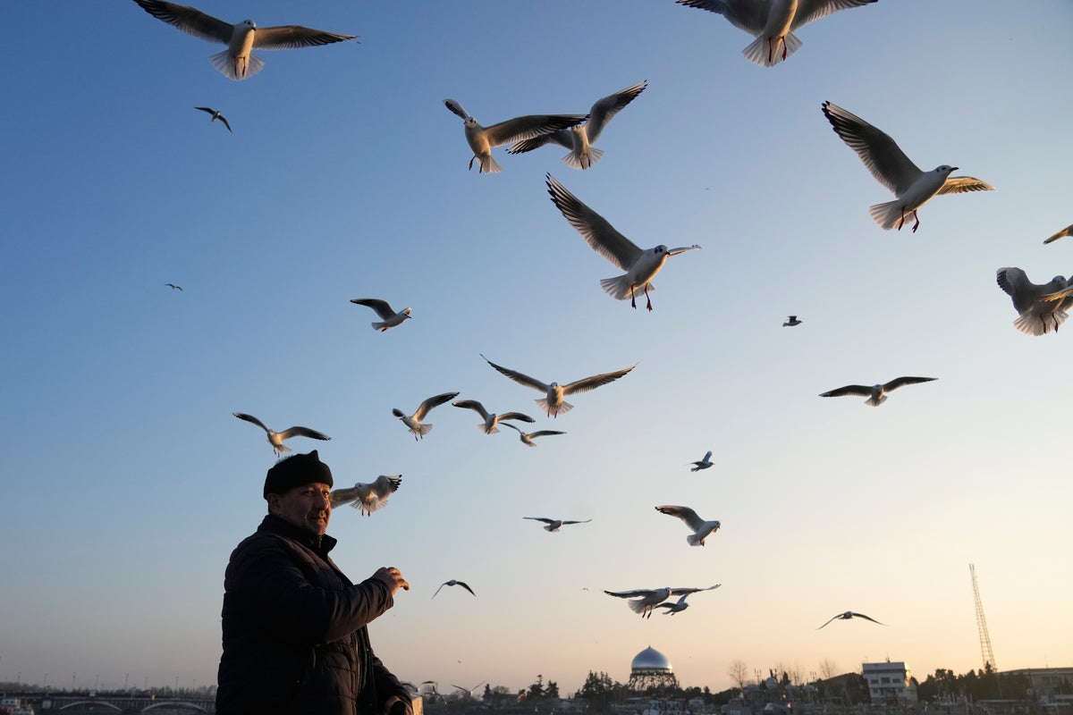 Photos of leisure and commerce along Iran's Caspian Sea coast