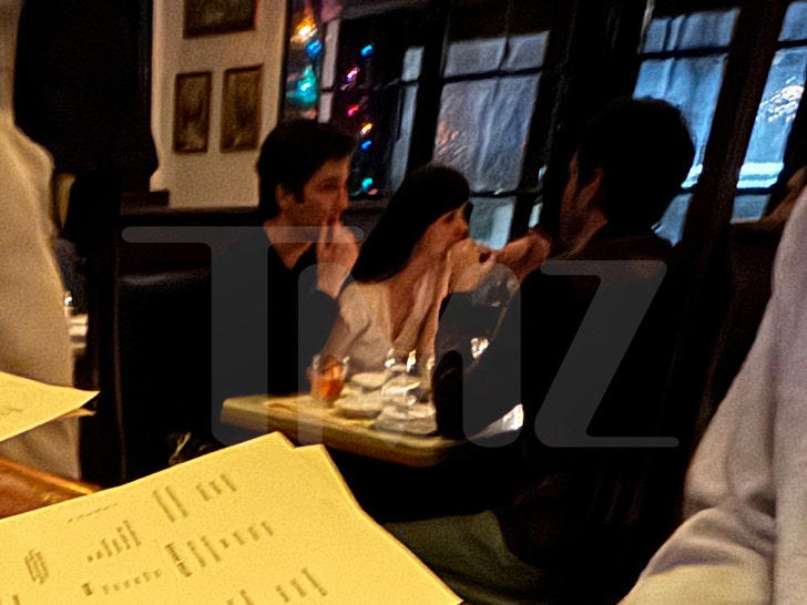 Dakota Johnson and Role Model seen getting cozy together at dinner in LA