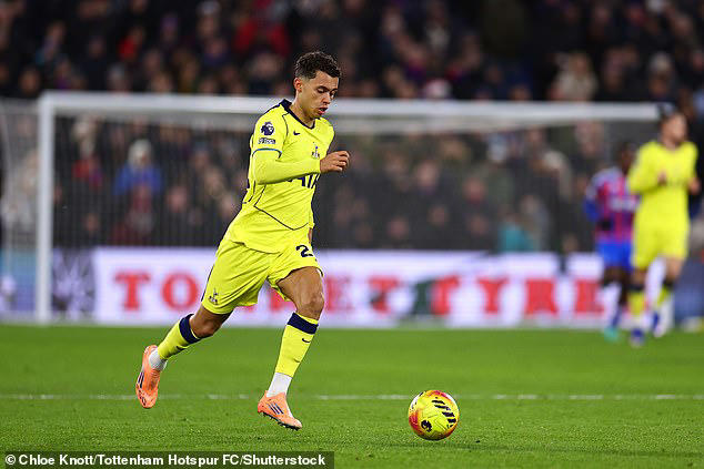 Crystal Palace want to conclude £35m deal for Spurs star ahead of ...