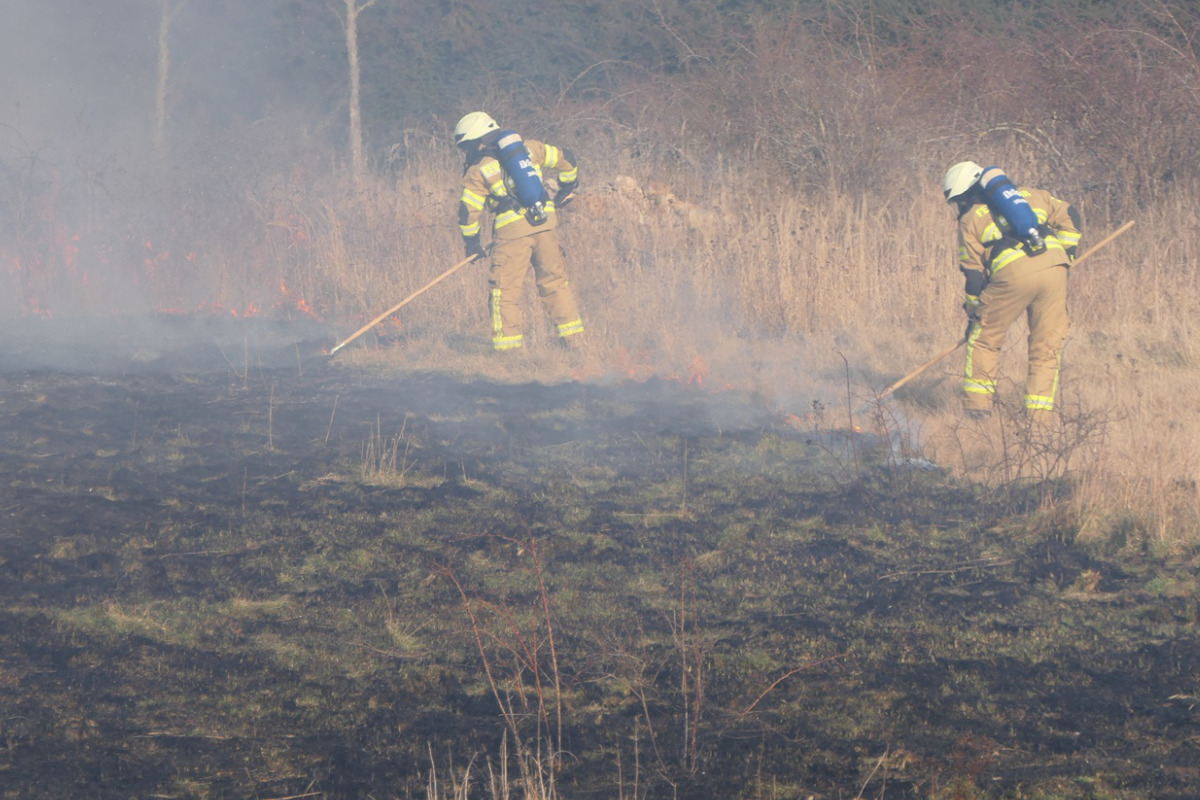 Feld in Sachsen steht plötzlich in Brand: Hat die Trockenheit bereits ...