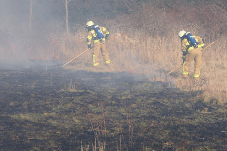 Feld in Sachsen steht plötzlich in Brand: Hat die Trockenheit bereits ...