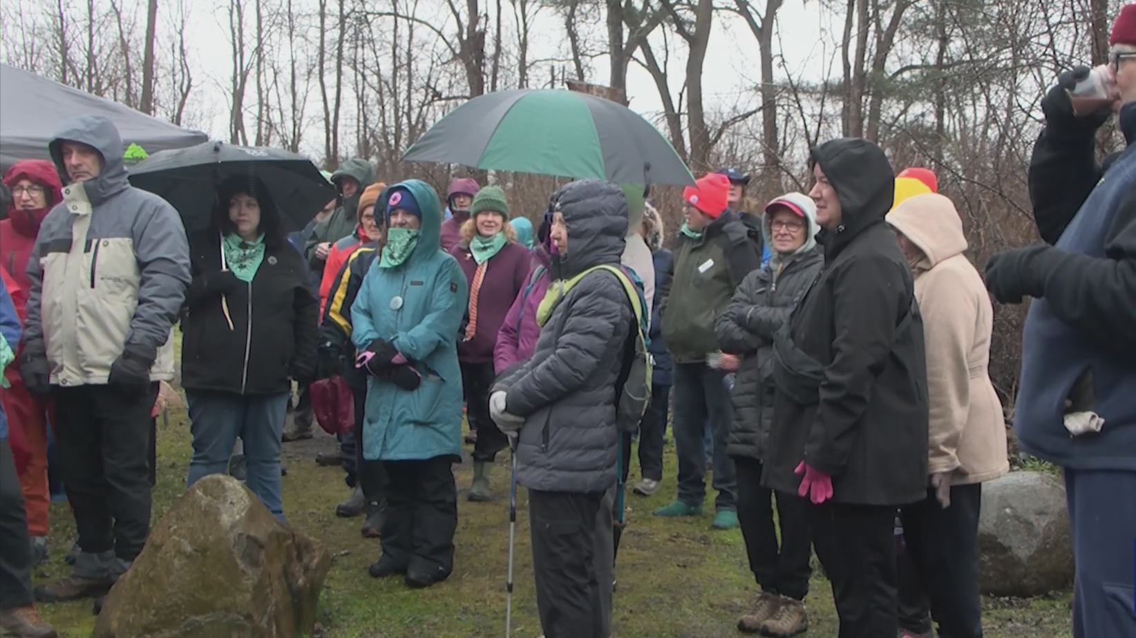 Start the new year outdoors: First Day Hikes return across New York