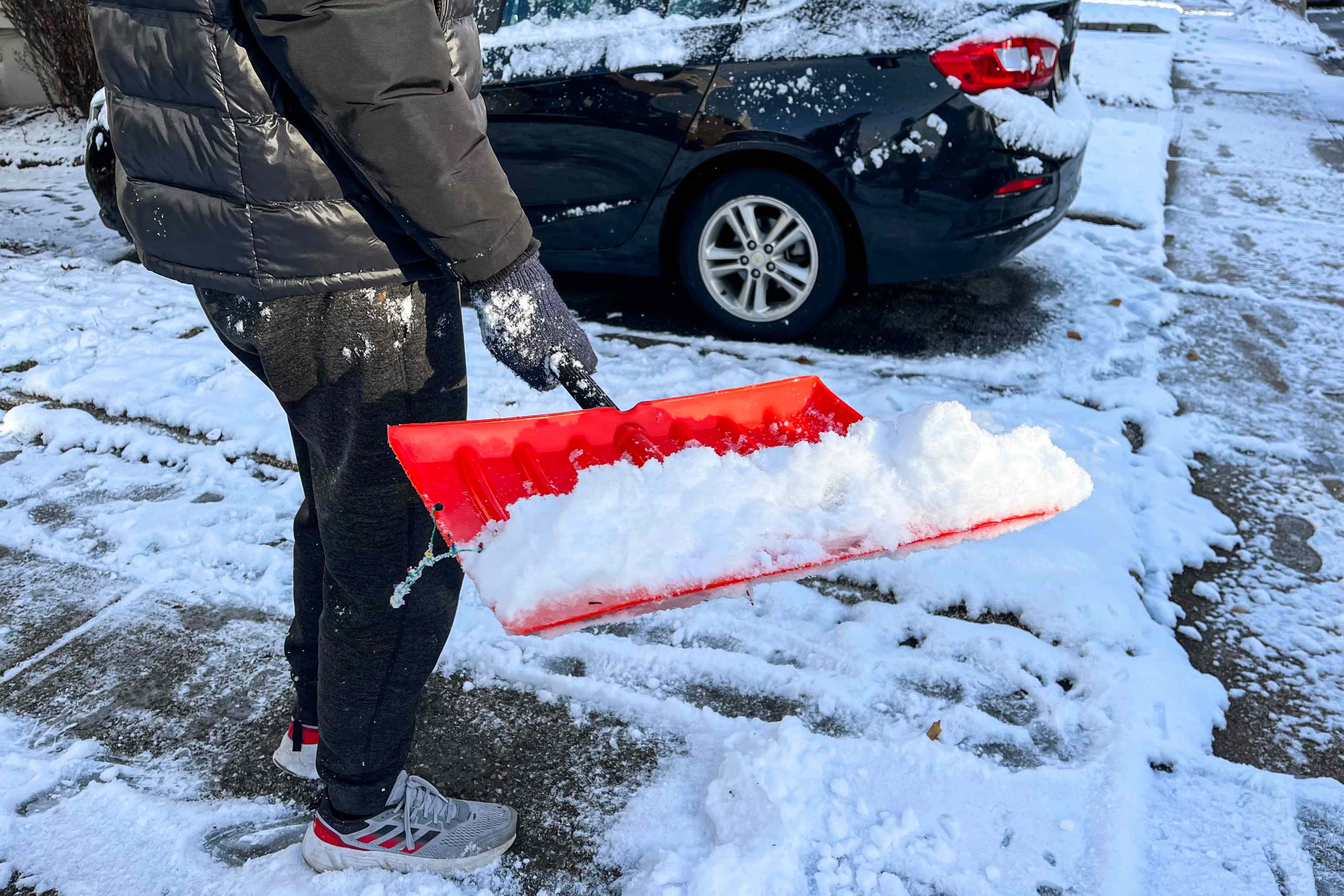 Did road salt damage your plants? A gardener shares how to tell—and ...