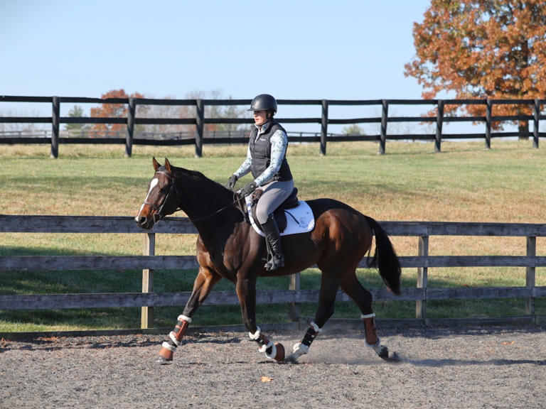OTTB training toolkit presented by Doc Lane's Pharmacy: Use rhythm to ...
