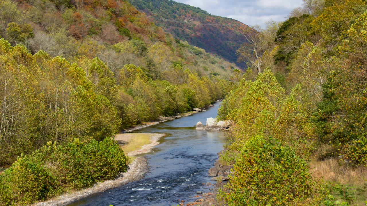 This little-known West Virginia train ride reaches places cars can't