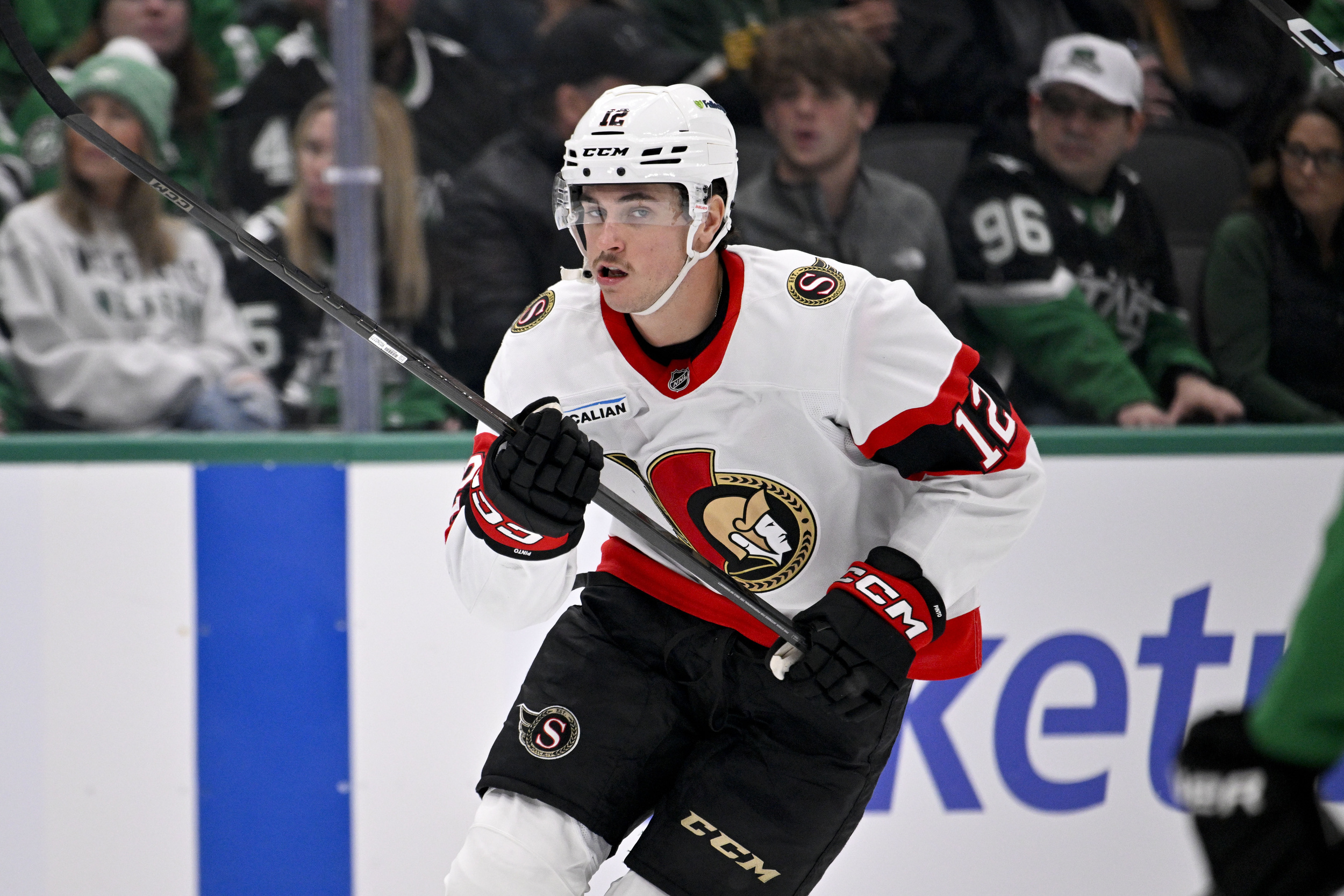 Senators activate Shane Pinto