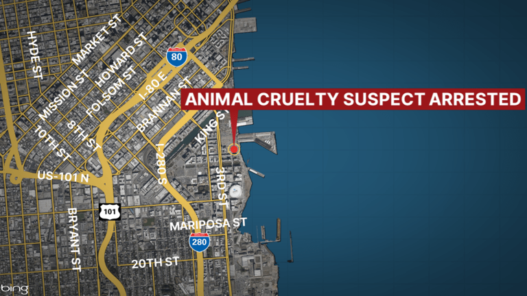 Police arrest animal cruelty suspect in San Francisco