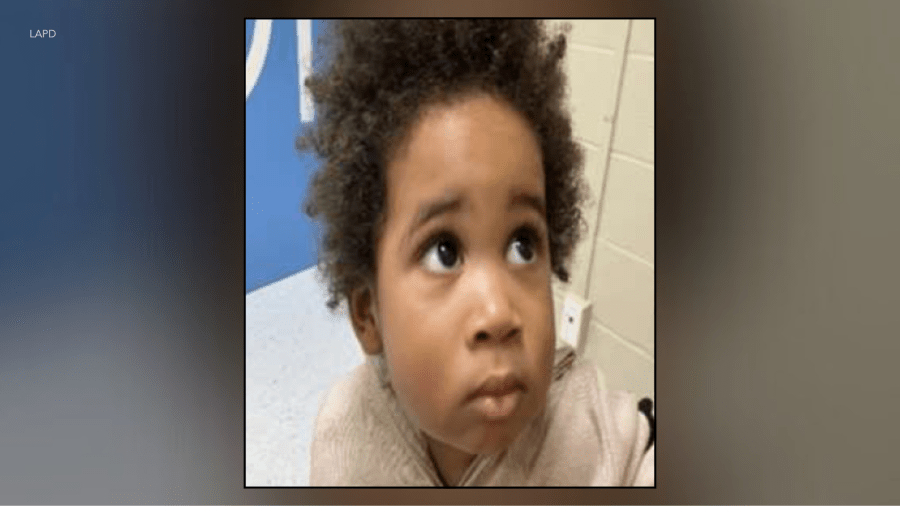 Toddler, dog abandoned during failed car theft in Los Angeles