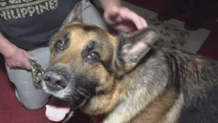 “He’s our only child right now. He’s a family member.” A Christmas ...