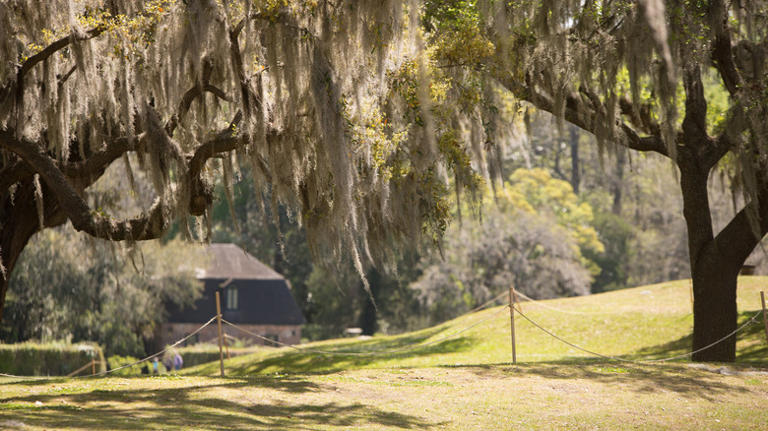 Charleston's mossy oaked suburb is an eclectic South Carolina gem with ...