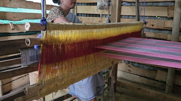 Meghalaya's Ryndia flagged as key success story in India's textile reforms