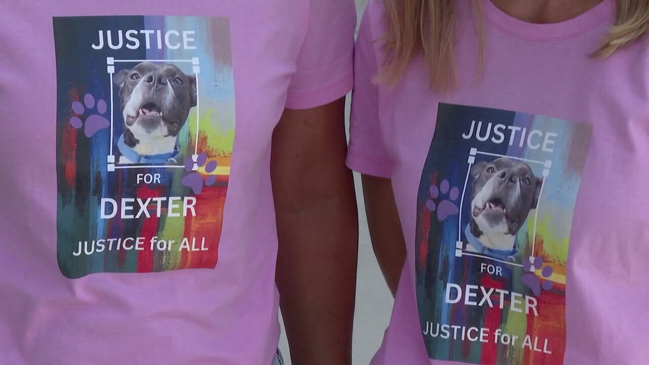 Dexter’s law among more than 100 laws in Florida taking effect January 1