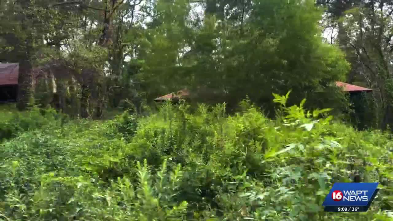 Jackson Housing Task Force urges reforms to stabilize rental market ...