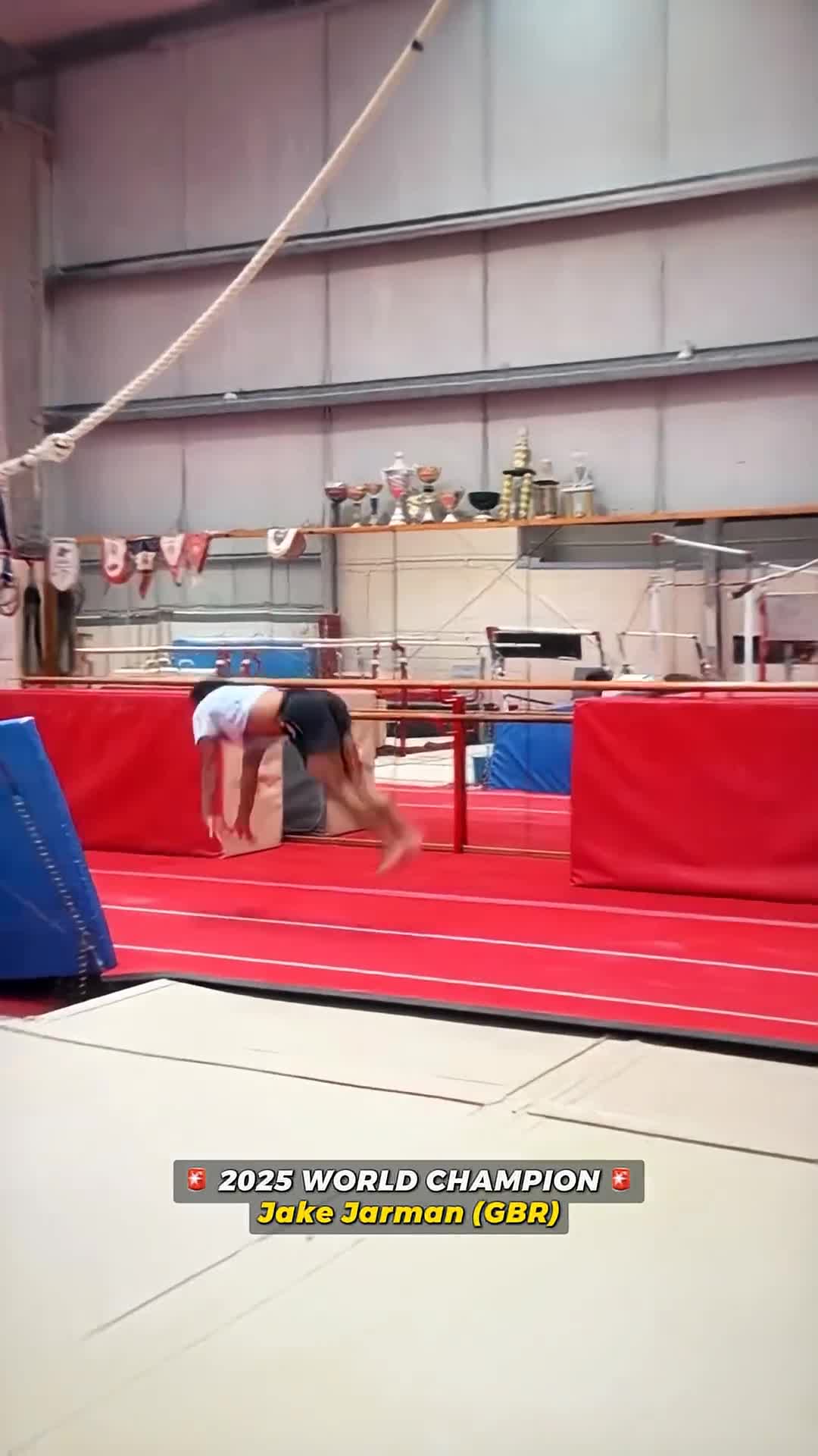 One of the best tumblers in the world