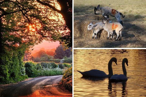 The best 12 photographs from the Basingstoke Gazette Camera Club in 2025