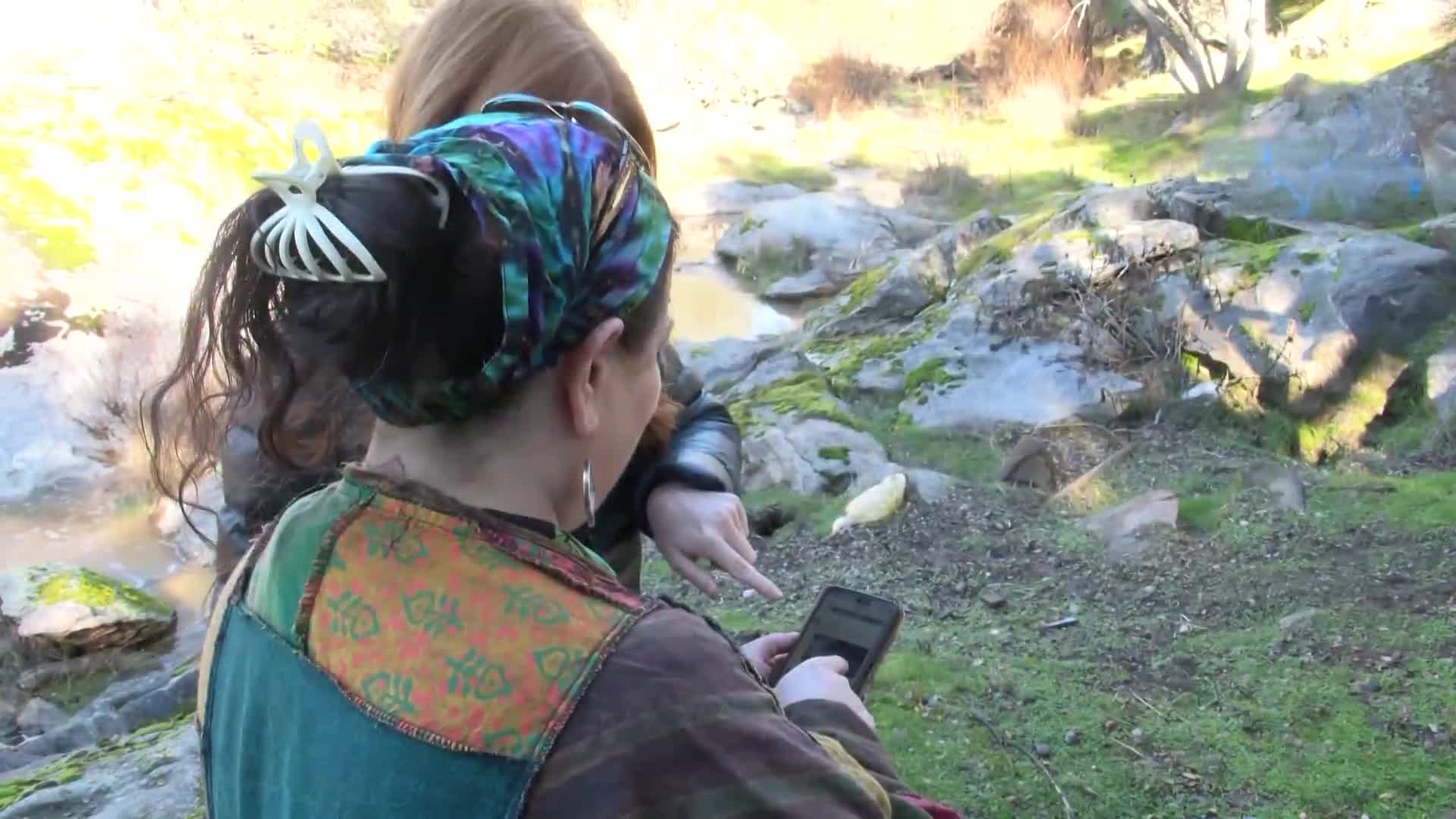 Large black bear causes calamity in Coarsegold