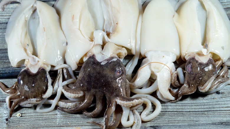 Consider canned squid for your next pasta dish and more